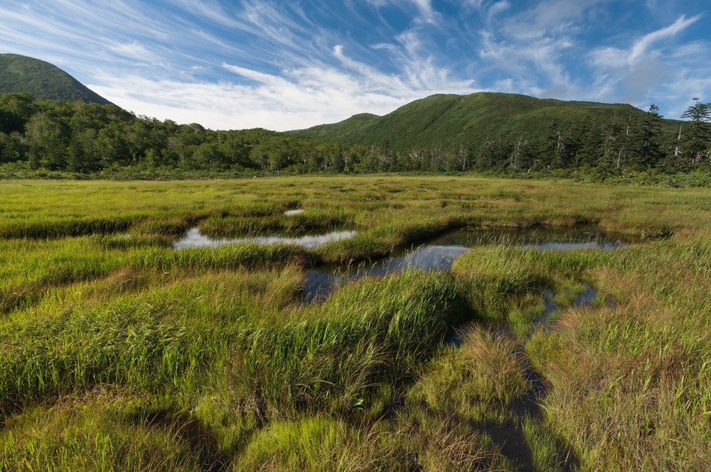 神仙沼旅遊指南 | 熱門景點資訊、交通地圖 | ezTravel易遊網